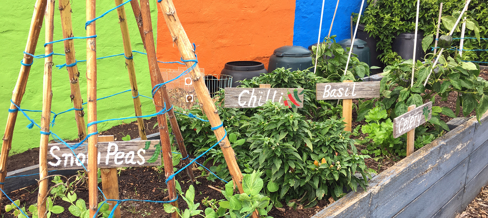 Kitchen Garden Educational Resources